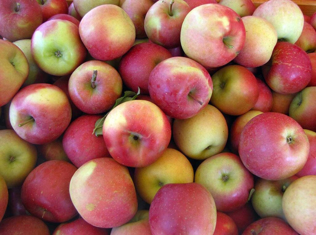 Mela Fuji | Ama per Bene