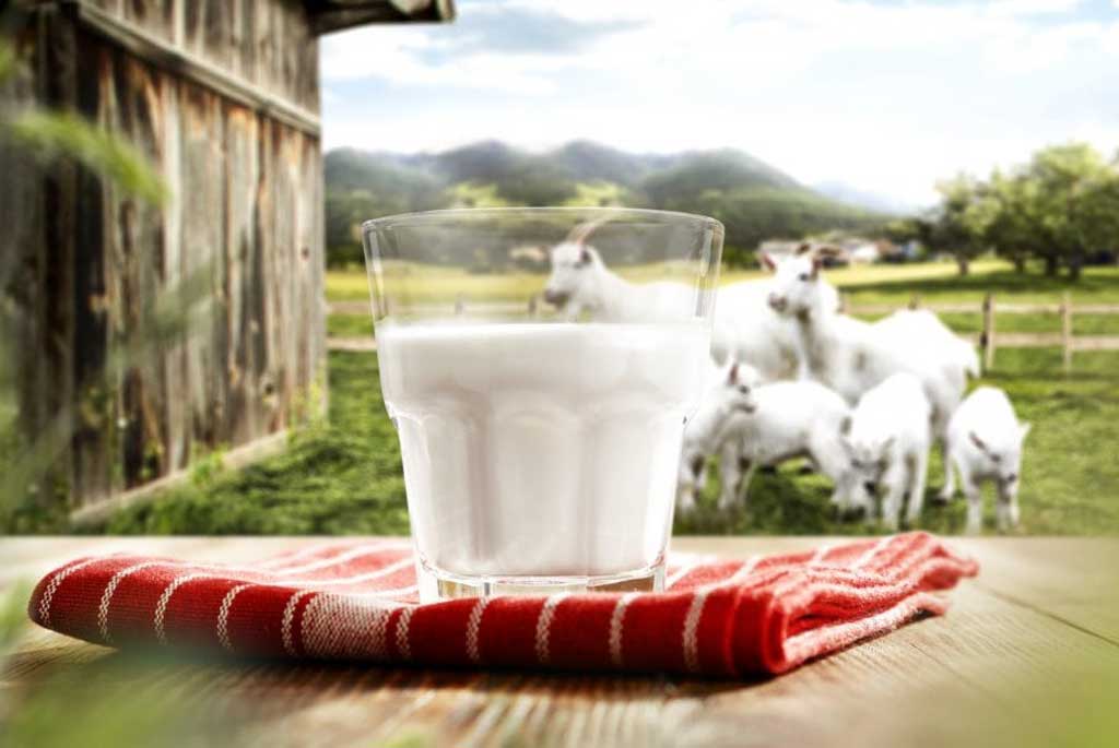 Latte di Capra - amaperbene.it