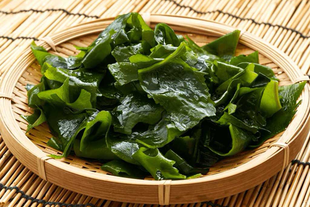 Kombu - Laminaria japonica - amaperbene.it