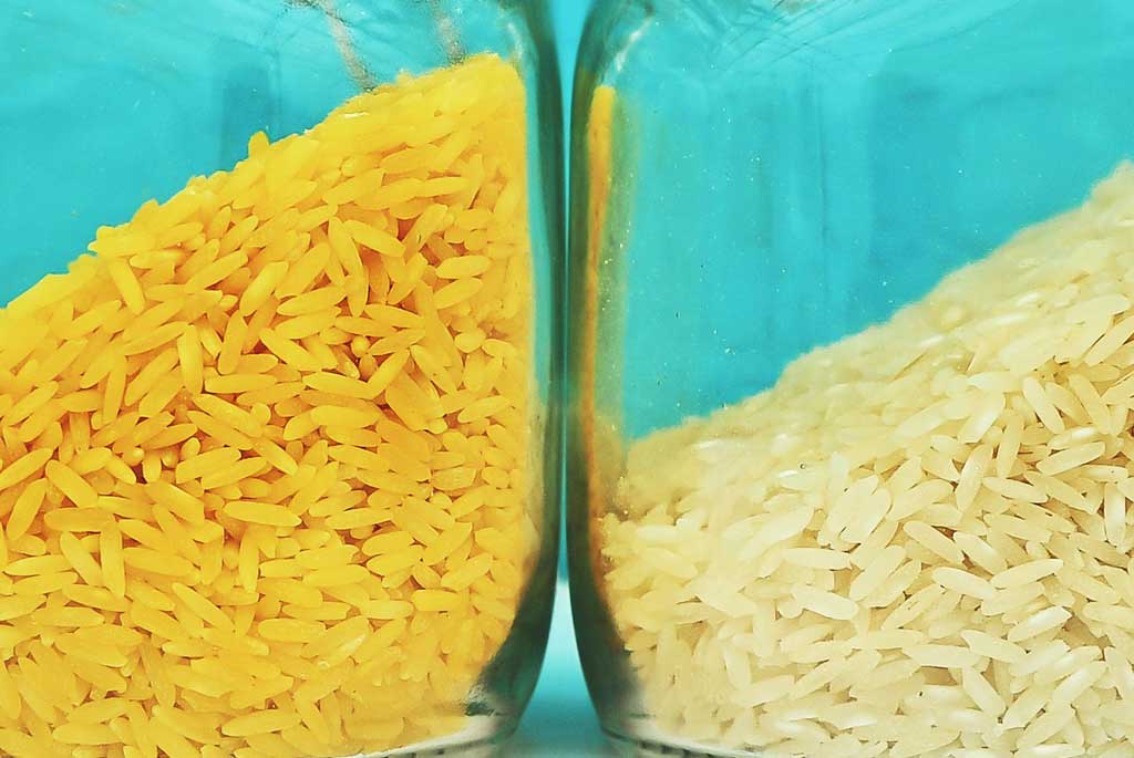 Golden Rice o Riso dorato - amaperbene.it