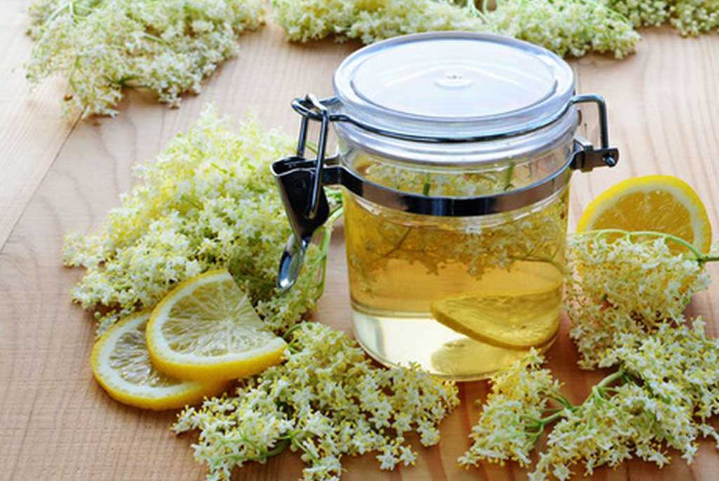 Il succo di sambuco mostra benefici per la gestione del peso e la salute metabolica - amaperbene.it